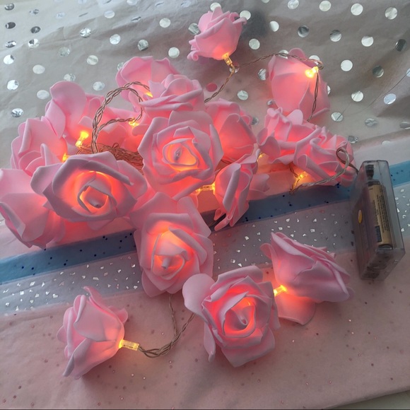 Holiday | New Trendy Hot Pink Roses String Lights | Poshmark